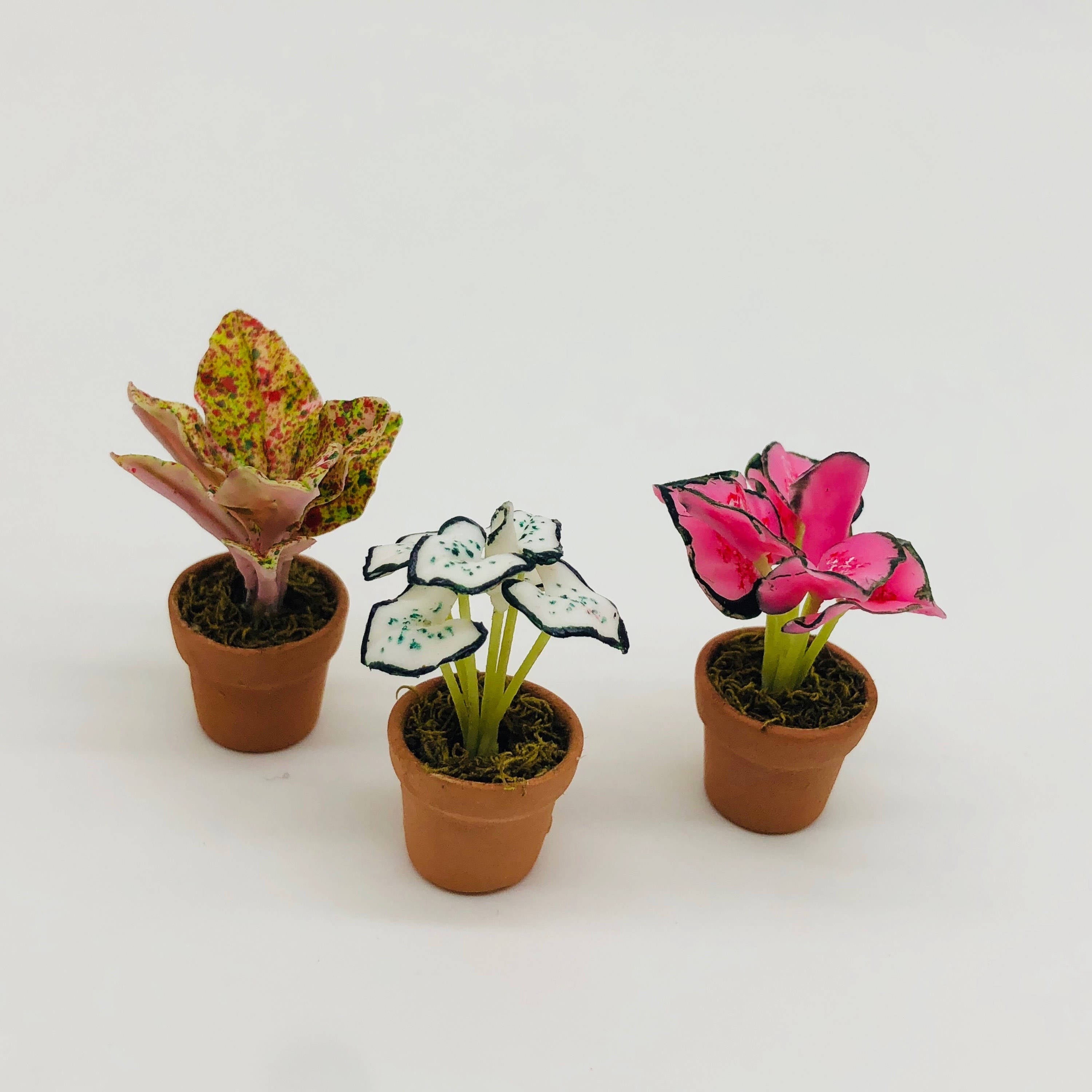 3 Pieces Miniature Flower Miniature Potdollhouse - Etsy