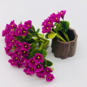 5 Pieces Miniature Poppy, Miniature Flower, Miniature Garden Dollhouse ...