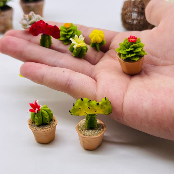 5 Pieces Miniature Cactus Miniature Plants Dollhouse Flower | Etsy