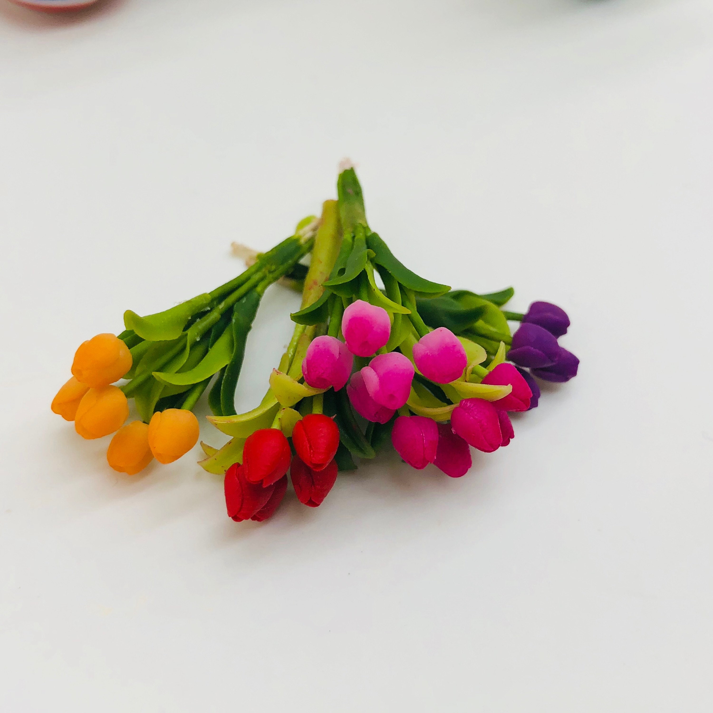 Miniature Tulip Miniature Flower and Miniature Orchids Petit - Etsy