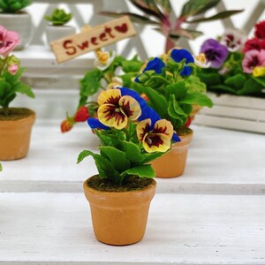 Miniature Pansy in Pot Polymer Clayminiature Pot Miniature - Etsy