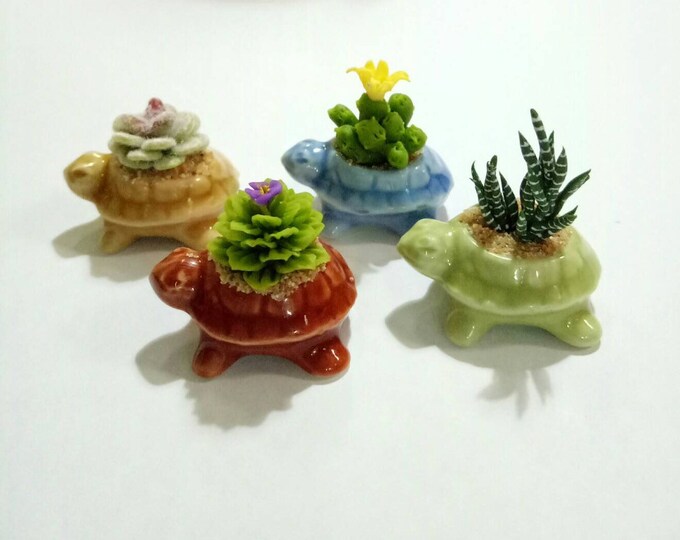 4 Pieces Miniature Turtle Vase 4 Color Miniature - Etsy