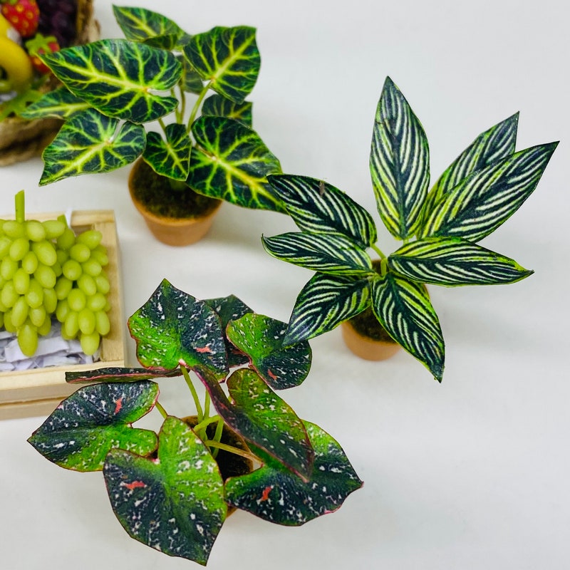 Mini Clay Plant Dollhouse - Etsy