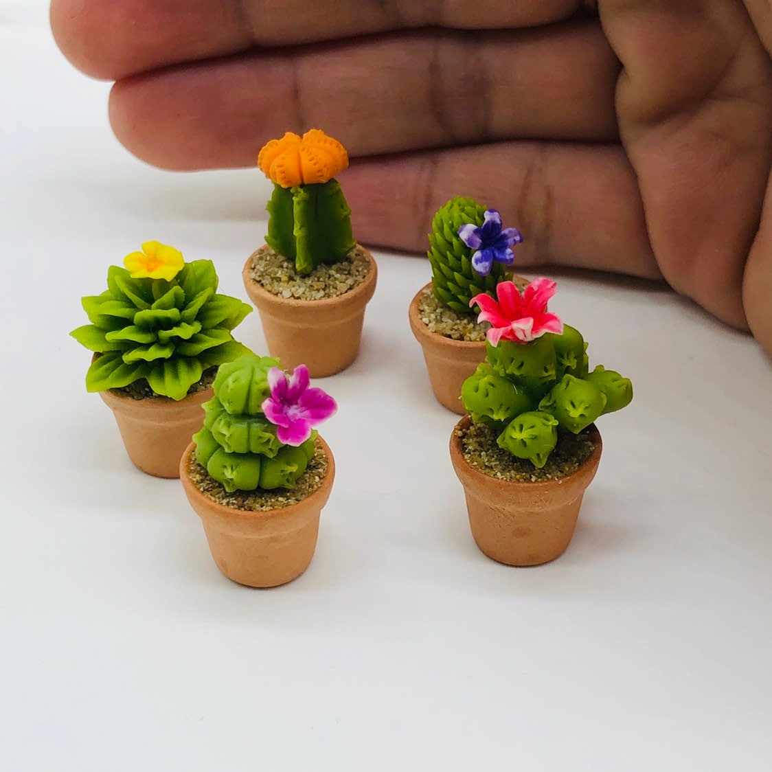 Miniatures 5 pieces Miniature Cactus Miniature pot Dollhouse Flower ...