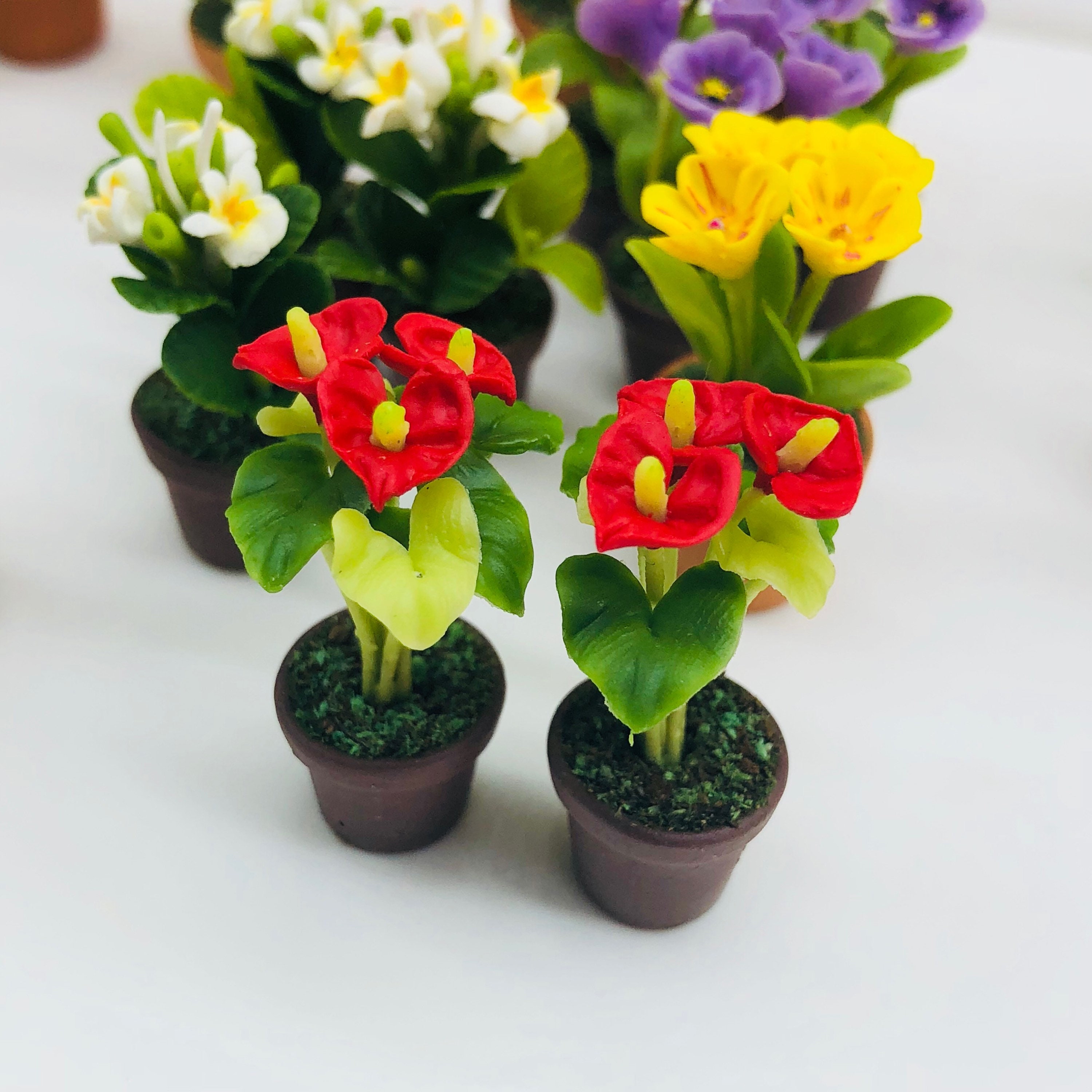 2 Miniature plants Dollhouse flower Dolls & Miniatures Art ...