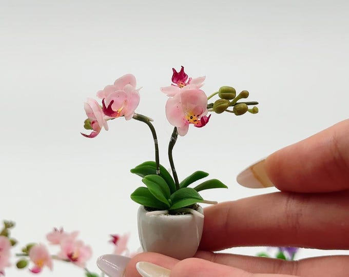 Miniature Phalaenopsis in Pot, Miniature Orchids, Dollhouse Flower ...