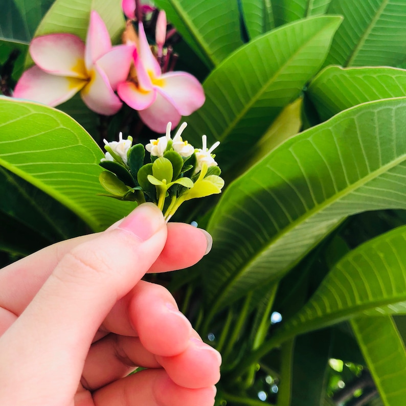 3 Pieces Miniature Flower Miniature Garden Dollhouse | Etsy