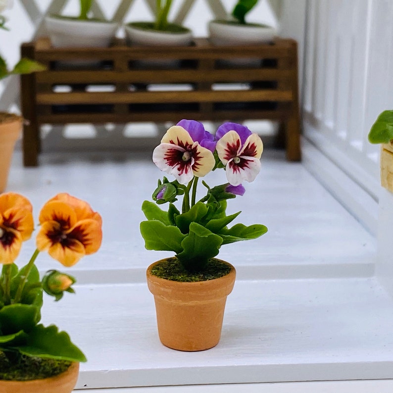 Miniature Pansy in Pot Polymer Clayminiature Pot Miniature - Etsy
