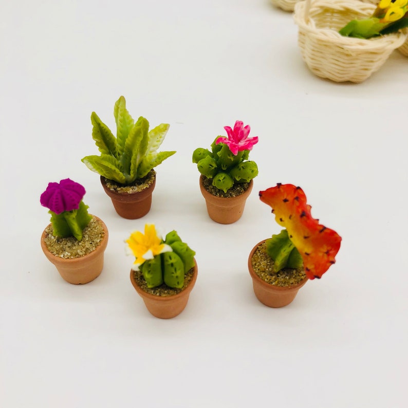 5 Pieces Miniature Cactus Miniature Pot Dollhouse - Etsy