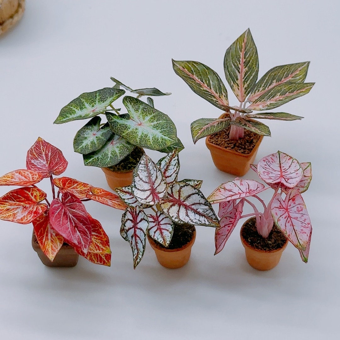 5 Pieces Miniature Plants,miniature Miniature Dollhouse Fairy Garden ...
