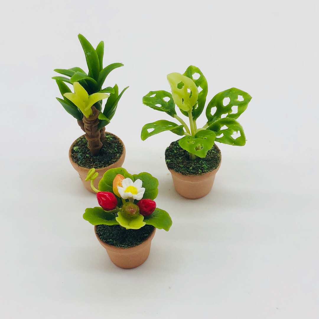3 Piece Miniature Potted Plants: Dollhouse Garden Decor - Etsy