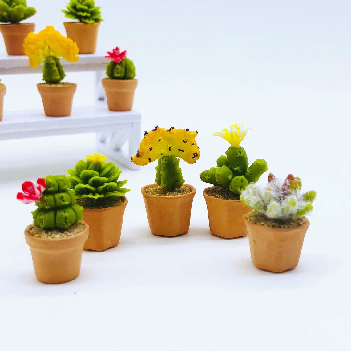 5 Pieces Miniature Cactus Miniature Pot Dollhouse | Etsy