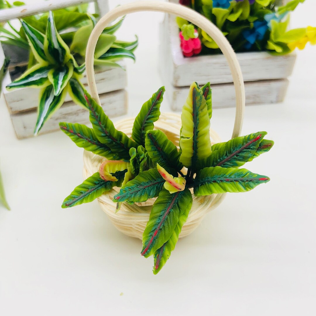 2 Pieces Miniature Plantminiature Garden Dollhouse - Etsy