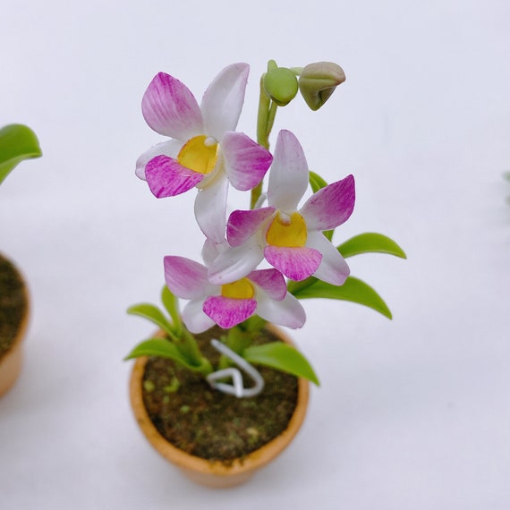 Spielzeug 1:12 Puppen Haus Miniatur Clay Orchidee Blume Pflanze Garten ...