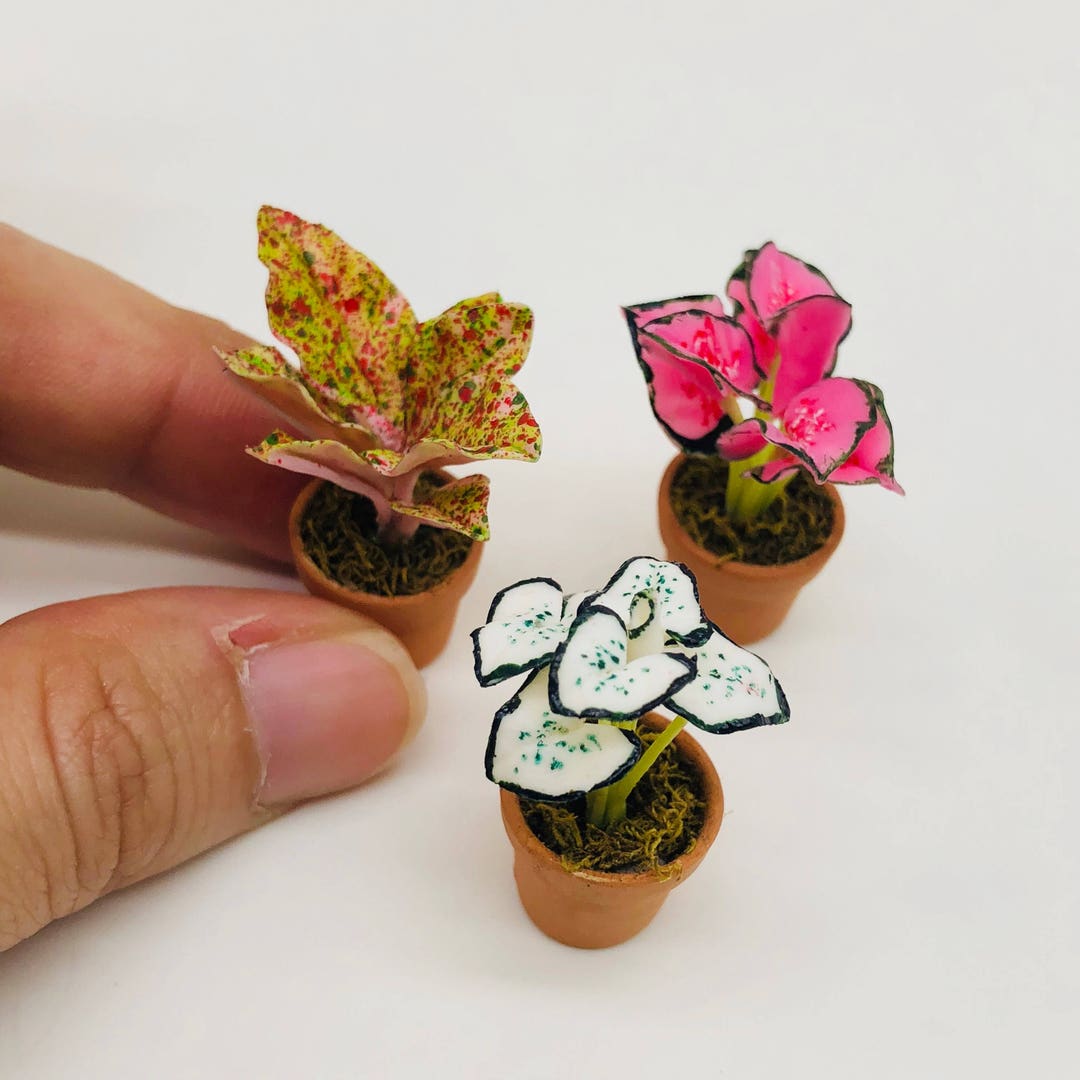 3 Pieces Miniature Flower, Miniature Pot,dollhouse Flower,miniature ...