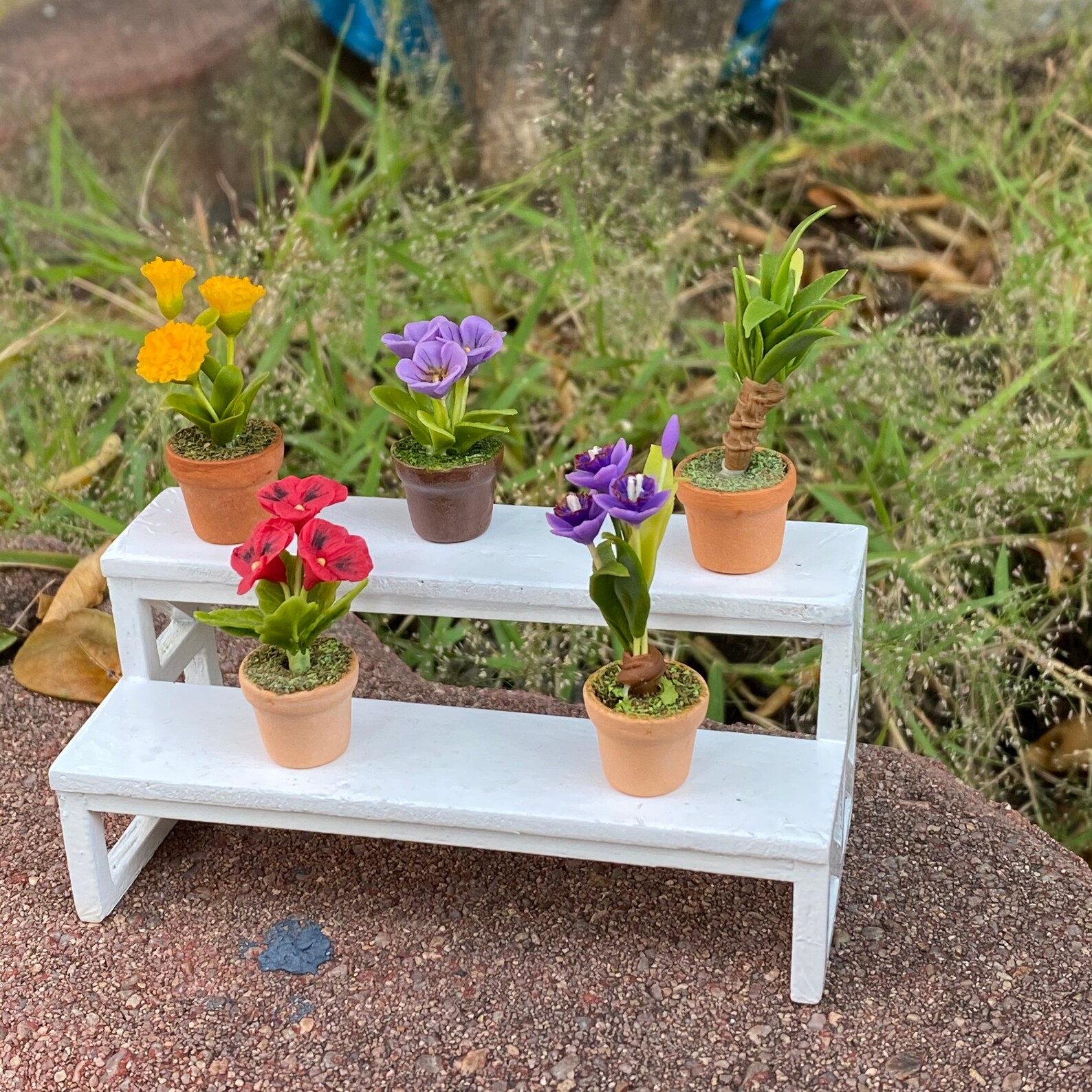 Miniature Wooden Stand Showcase Fairy Garden Decorate for - Etsy