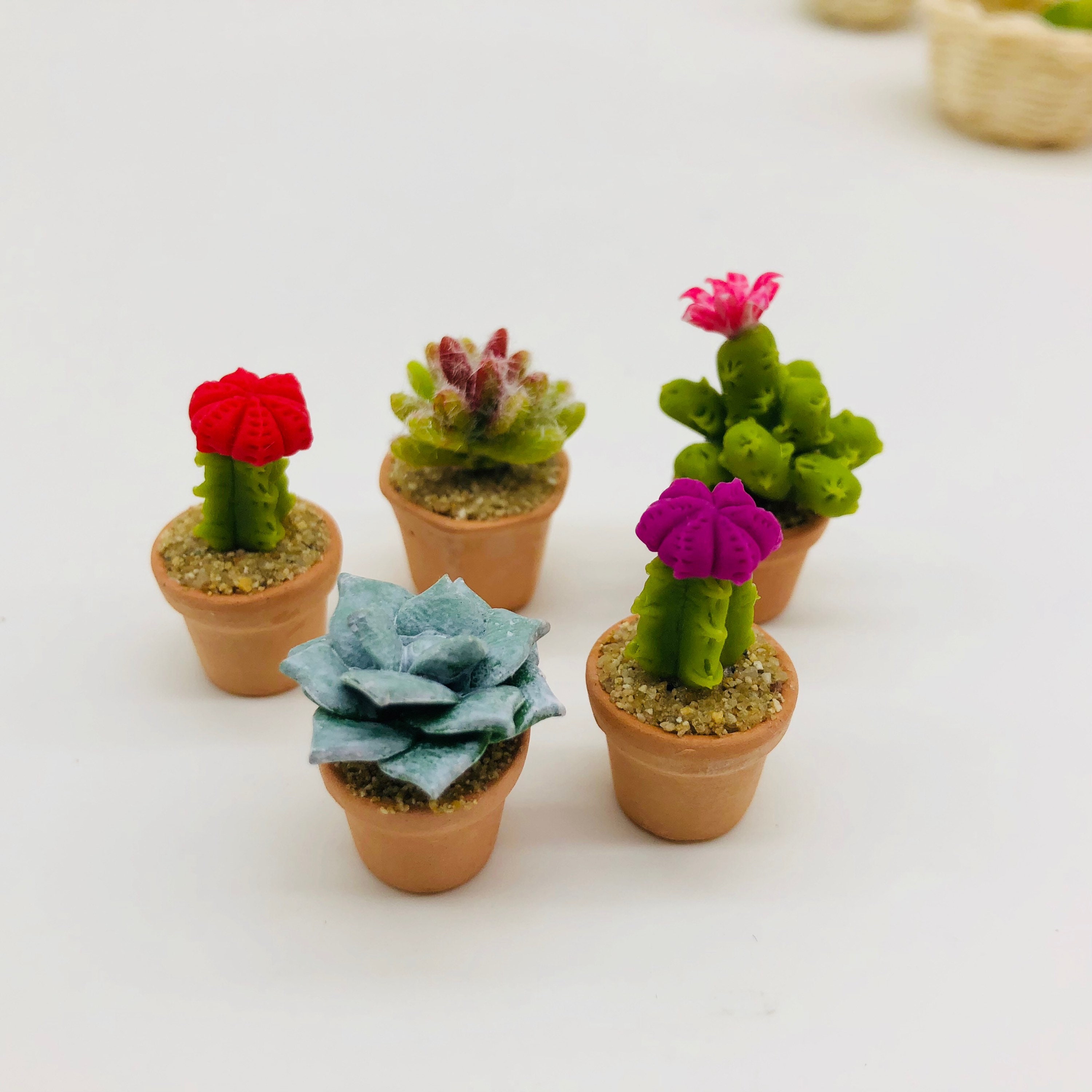 Miniatures 5 pieces Miniature Cactus Miniature pot Dollhouse Flower ...