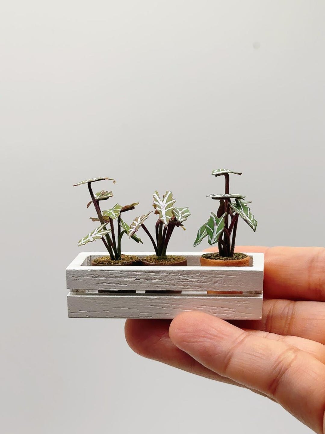 3 Potsminiature Plants in Pots With Wooden Box for Dollhouse Fairy ...