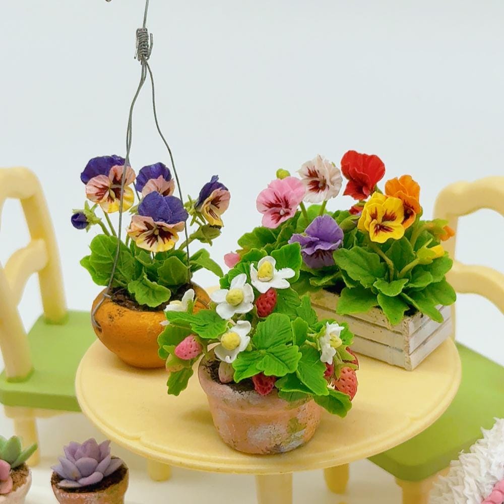 Miniature Pansy in White Wooden Box, Miniature Flower,miniature ...