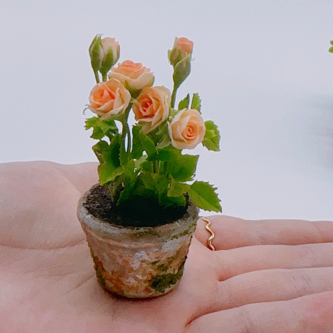 Miniature Rose in Pot,miniature Dollhouse Fairy Garden,miniature Flower ...