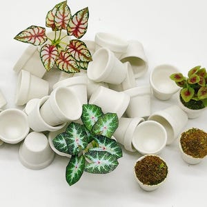 10 Pieces Miniature Matt White Pot, Miniature Dollhouse Fairy Garden ...
