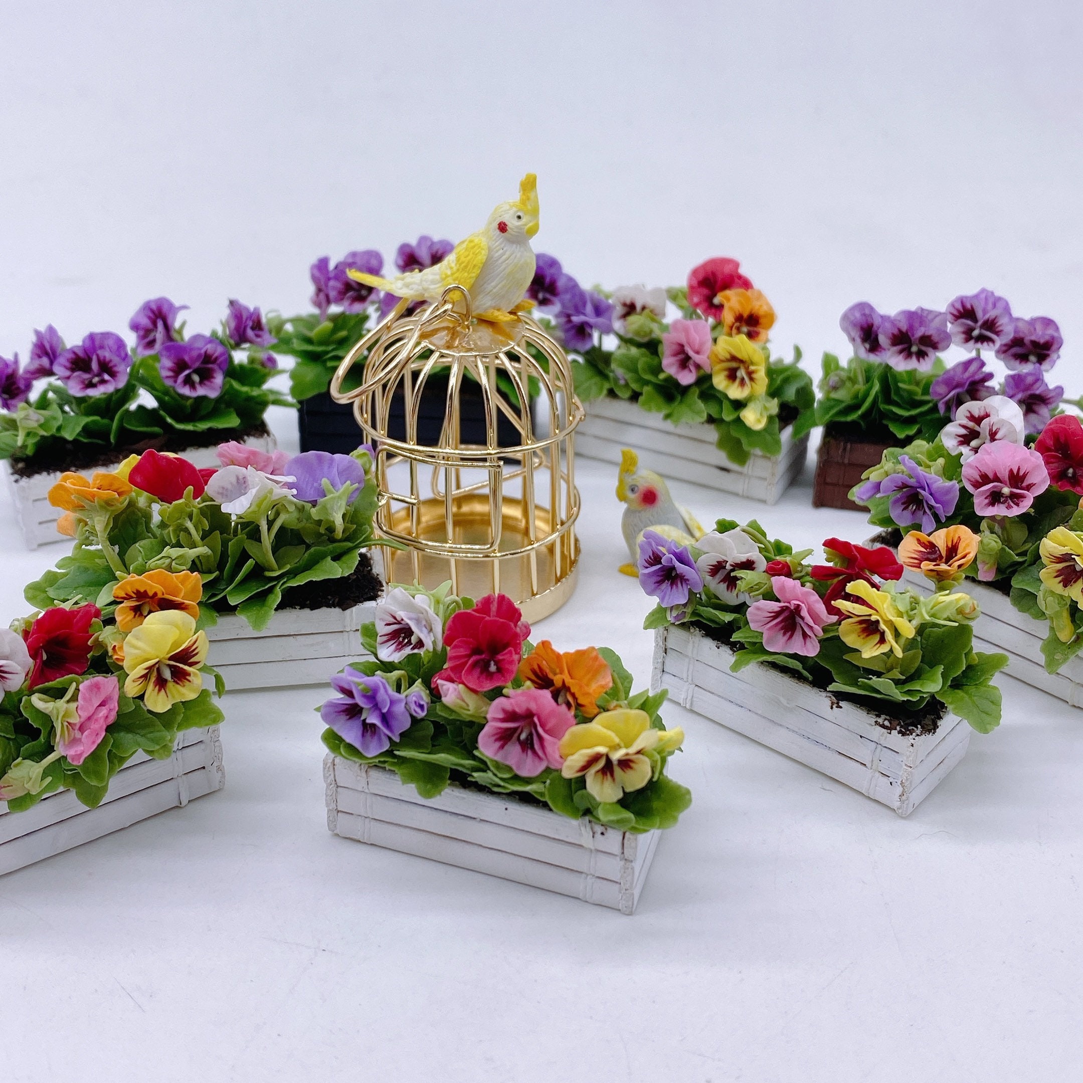 Miniature Pansy in White Wooden Box, Miniature Flower,miniature ...