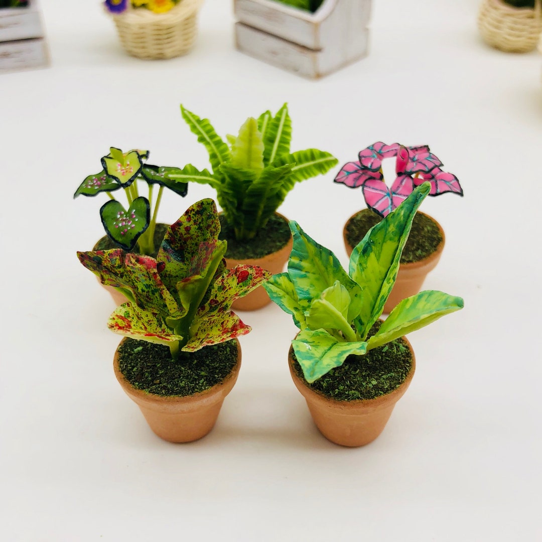 5 Pieces Miniature Plant and Flower in Pot, Miniature Pot,miniature ...