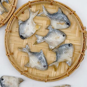 5 Pieces Miniature Pomfret Fish Made Air Dry Clay Look Beautiful and ...