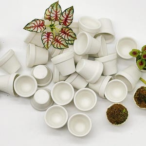 10 Pieces Miniature Matt White Pot, Miniature Dollhouse Fairy Garden ...
