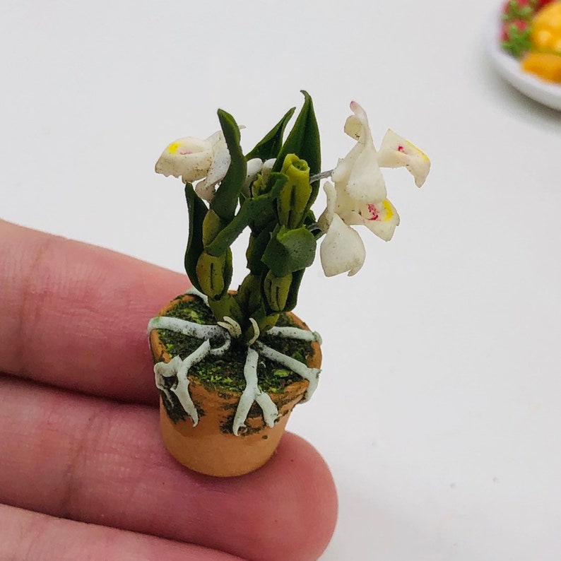 Miniature Orchids Clay Polymer in Pot Miniature Plant in Pot | Etsy