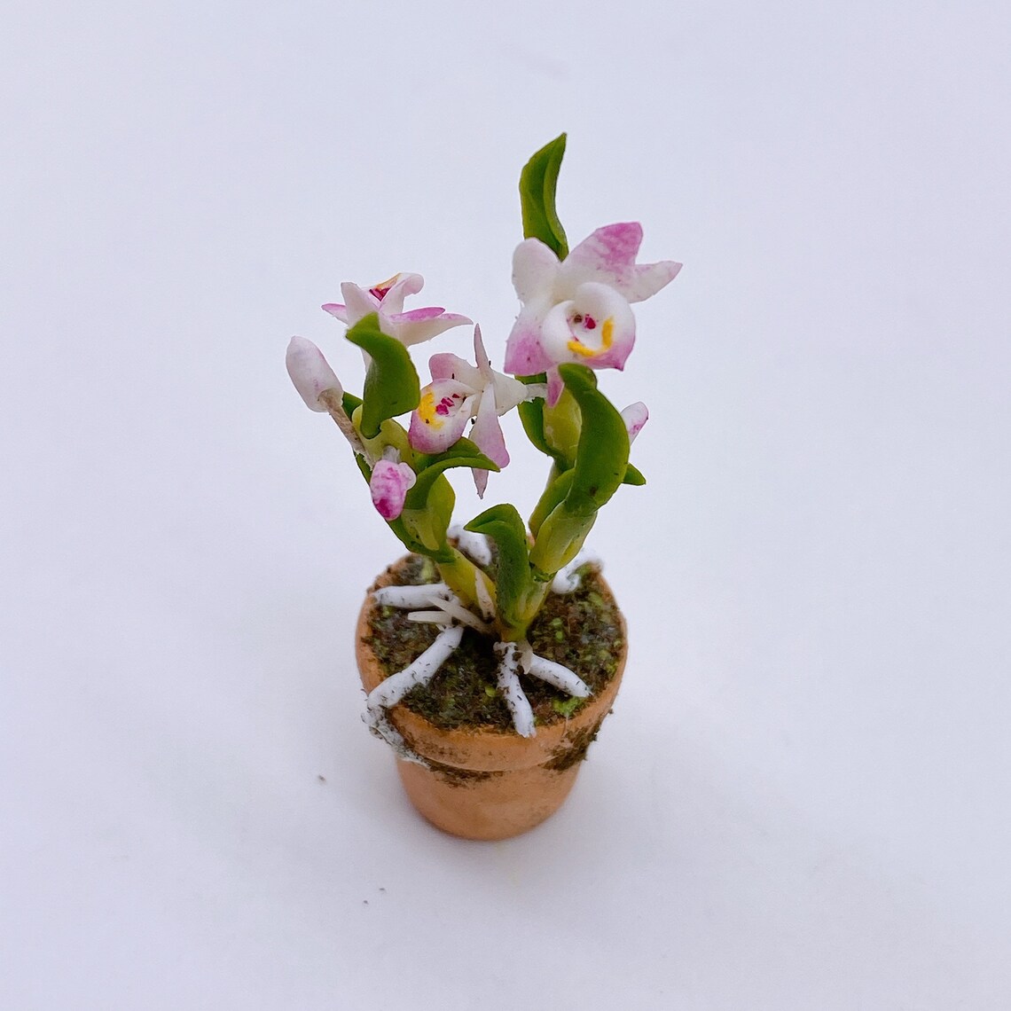 Miniature Flower Miniature Orchid in Potdollhouse - Etsy