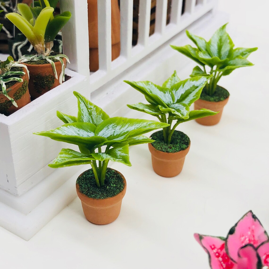 3 Pieces Miniature Plants in Pot Miniature Plants in | Etsy