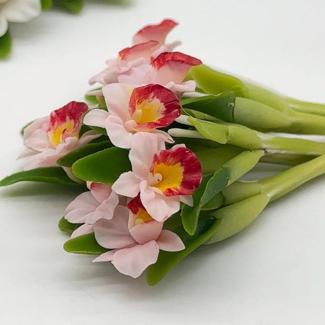 5 Pieces Miniature Cattleya Orchids, Miniature Flower, Miniature Garden ...