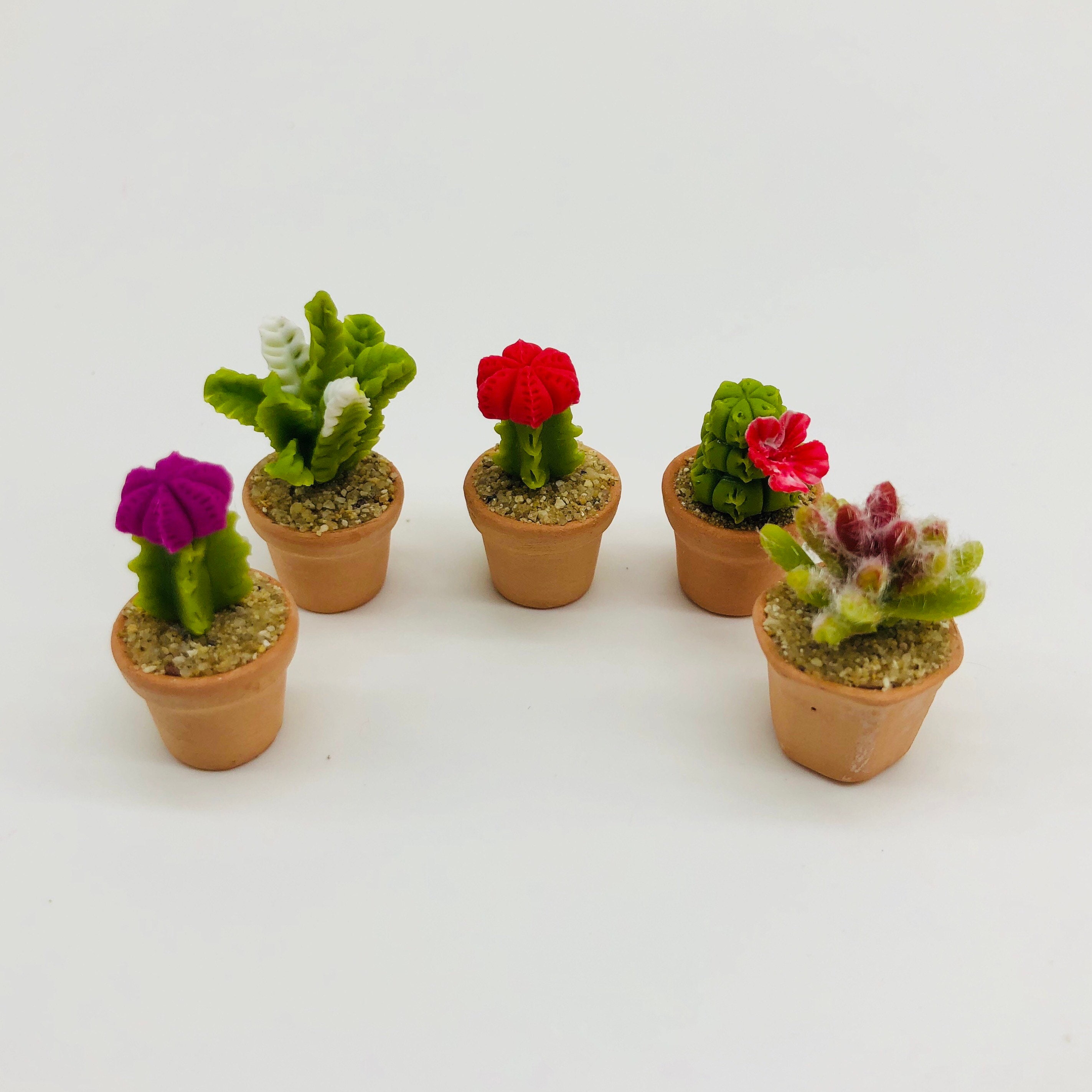 Miniatures 5 pieces Miniature Cactus Miniature pot Dollhouse Flower ...