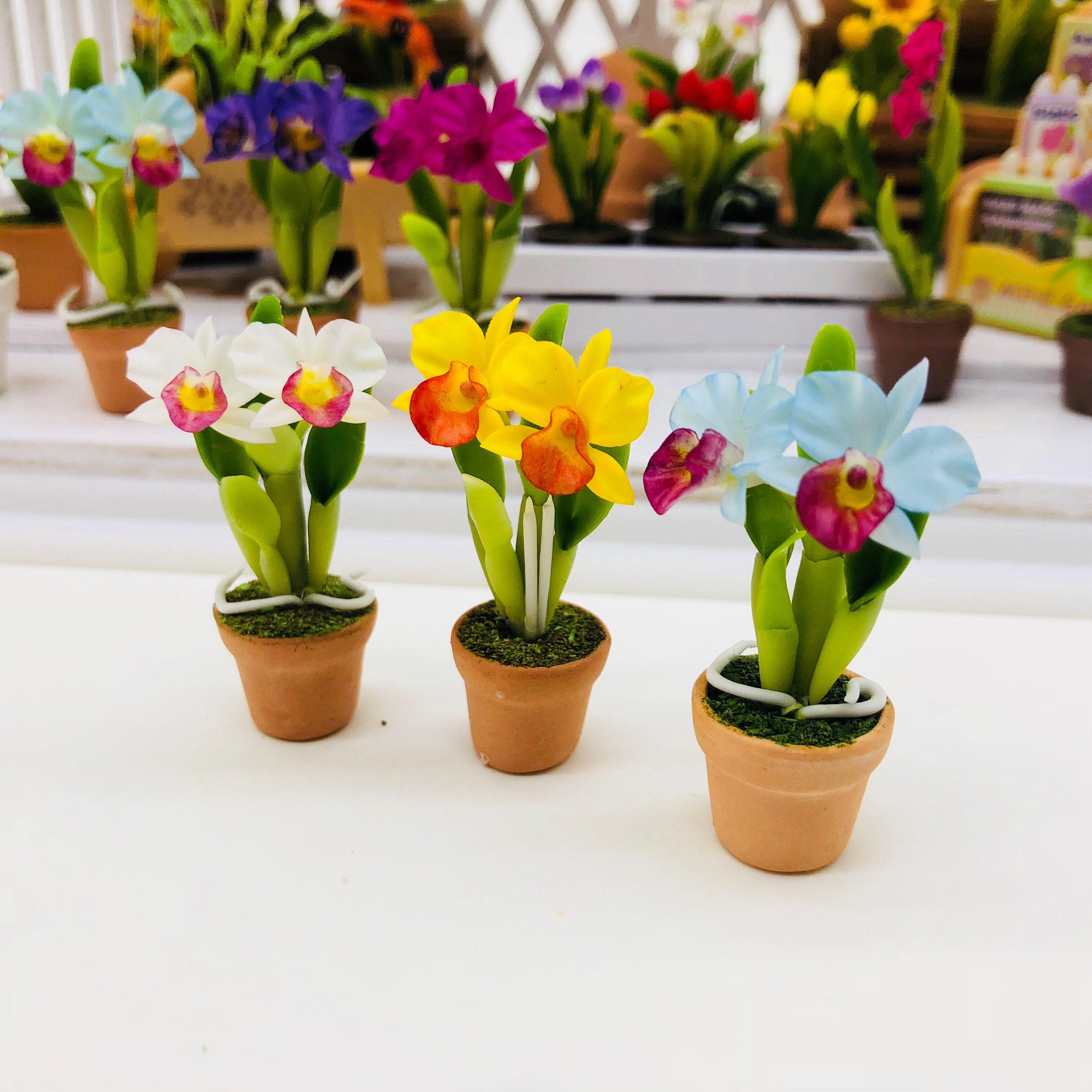 4 pieces Miniature Flower 4 color and Miniature Orchids,Miniature ...