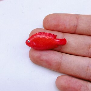 5 Pieces Miniature Fish Look Beautiful and Realistic for - Etsy