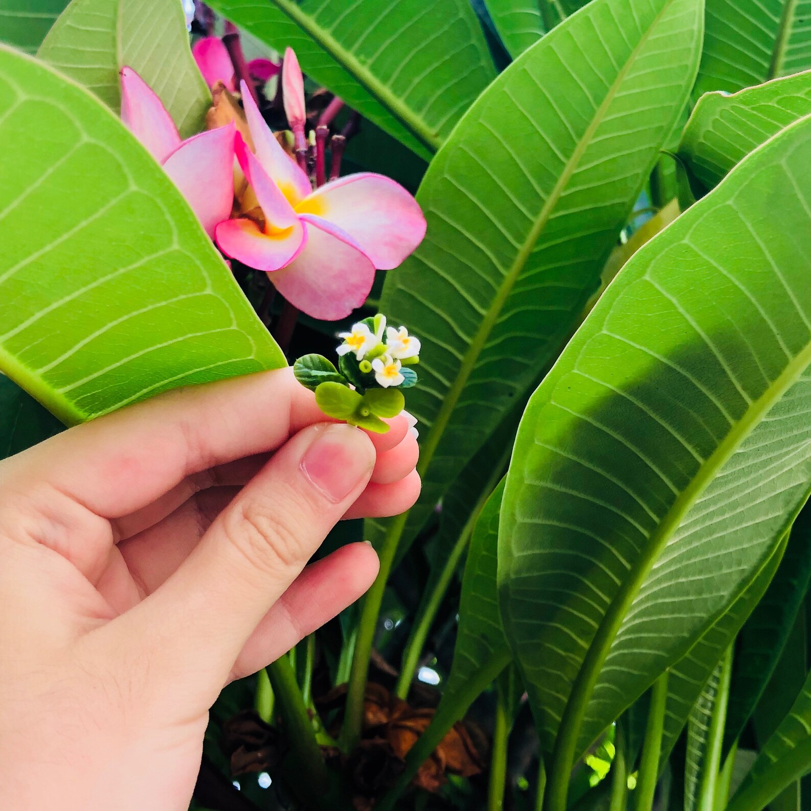 3 Pieces Miniature Flower Miniature Garden Dollhouse | Etsy