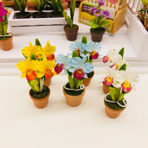 4 pieces Miniature Flower 4 color and Miniature Orchids,Miniature ...