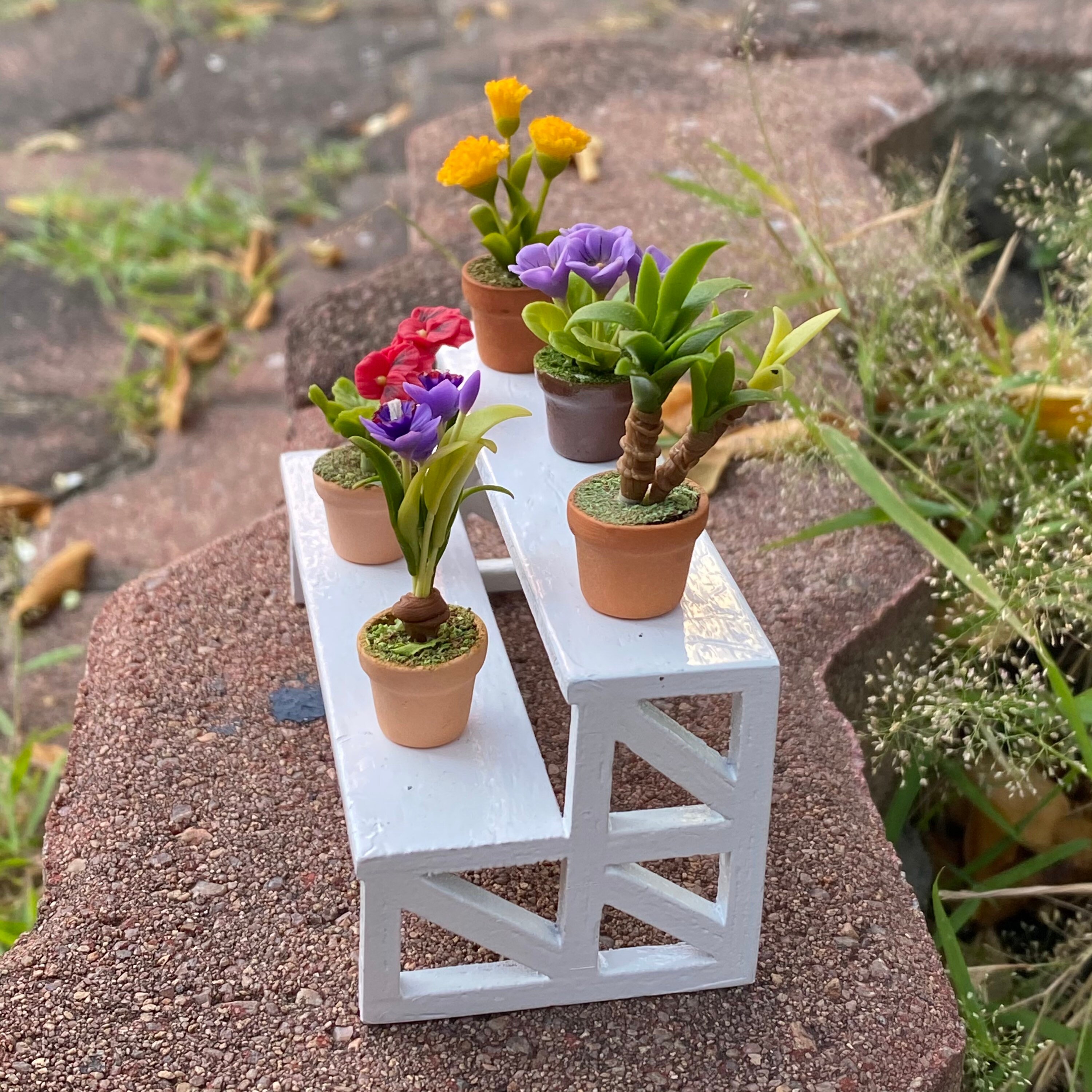 Miniature Wooden Stand Showcase Fairy Garden Decorate for - Etsy