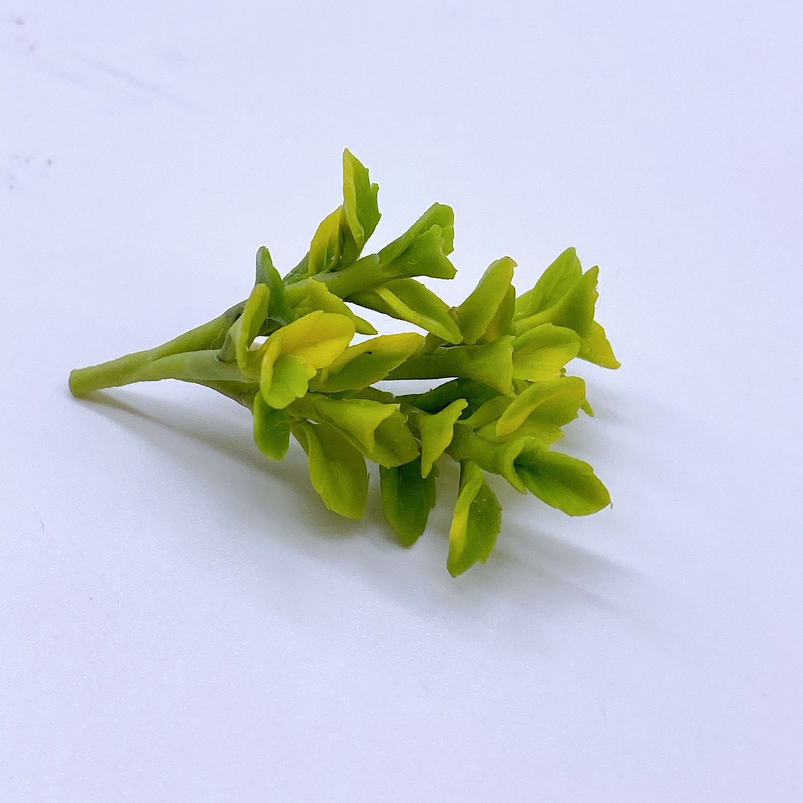 2 Pieces Miniature Plants Made Clay Polymer Miniature - Etsy