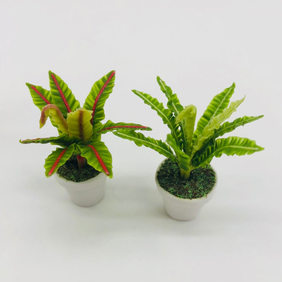 2 Pieces Miniature Plant for Decorate Your Greenhouse or - Etsy