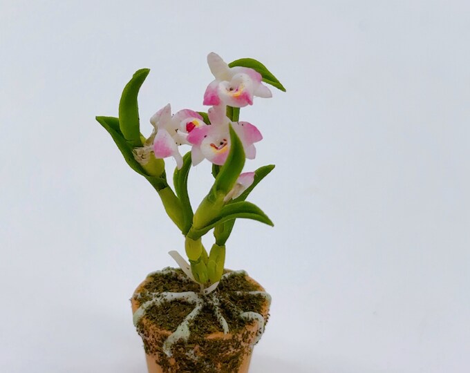 Miniature Flower, Miniature Orchid in Pot,dollhouse Flower,miniature ...