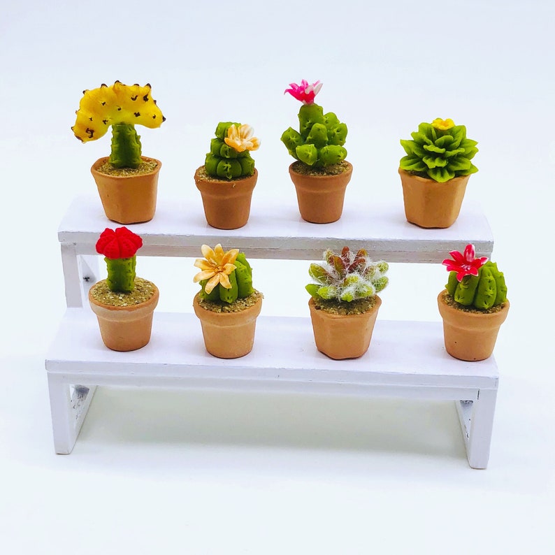 8 Pieces Miniature Cactus in Pot, Miniature Cactus Decorate for ...