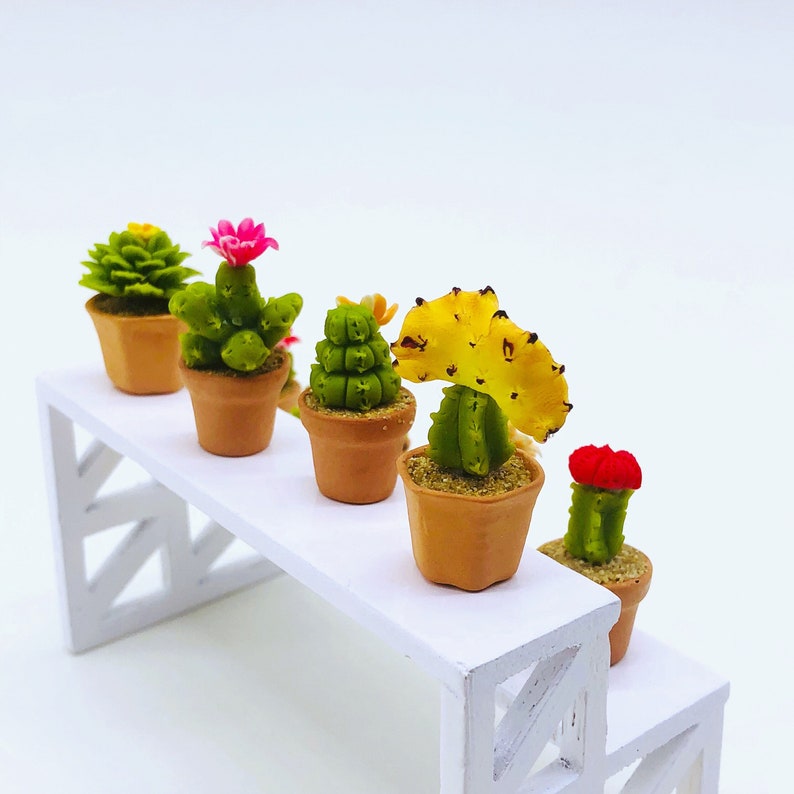 8 Pieces Miniature Cactus in Pot, Miniature Cactus Decorate for ...