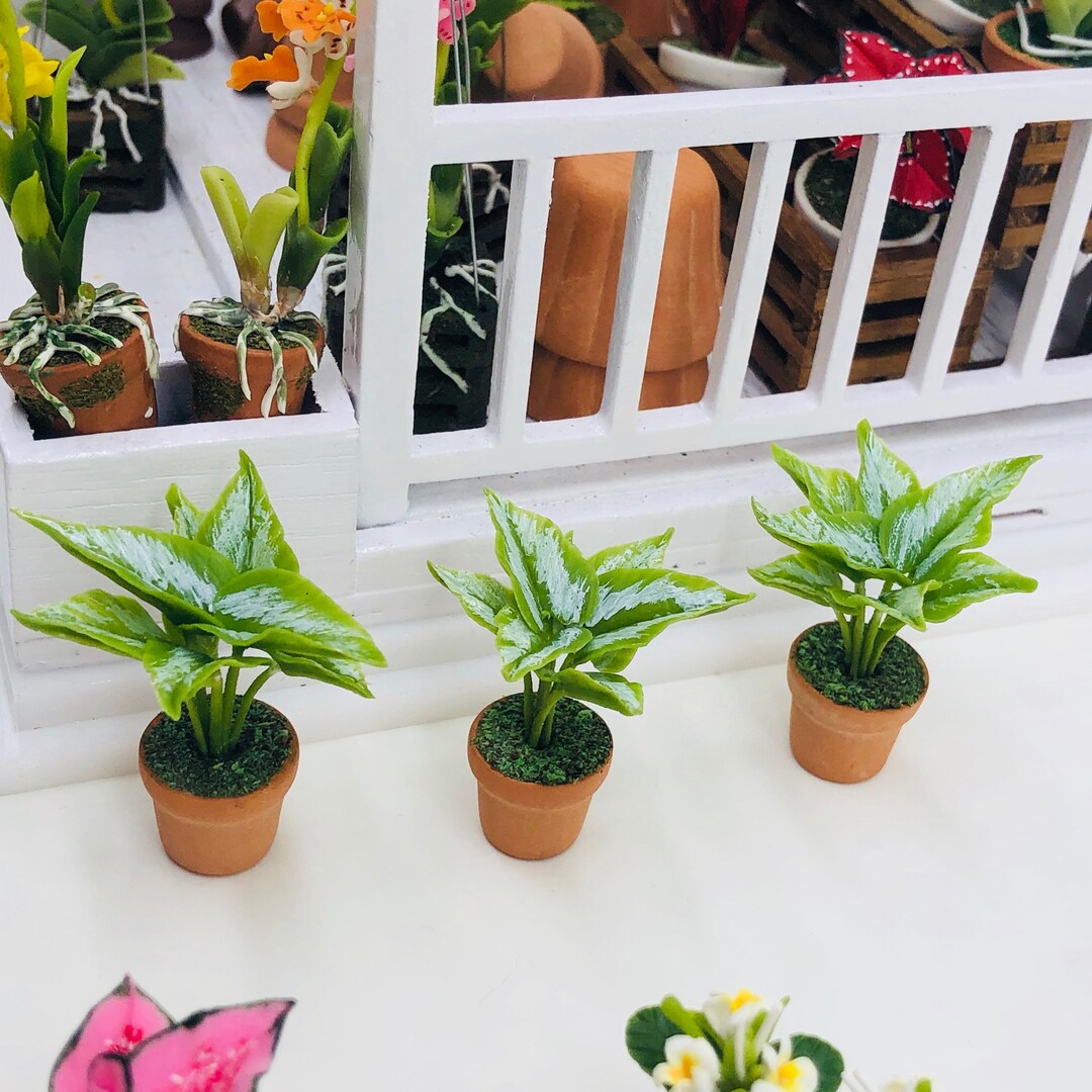 3 Pieces Miniature Plants in Pot, Miniature Plants in Pot,dollhouse ...