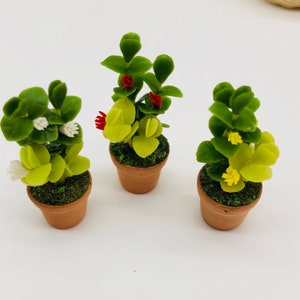3 Pieces Miniature Flower, Miniature Pot,dollhouse Flower,miniature ...