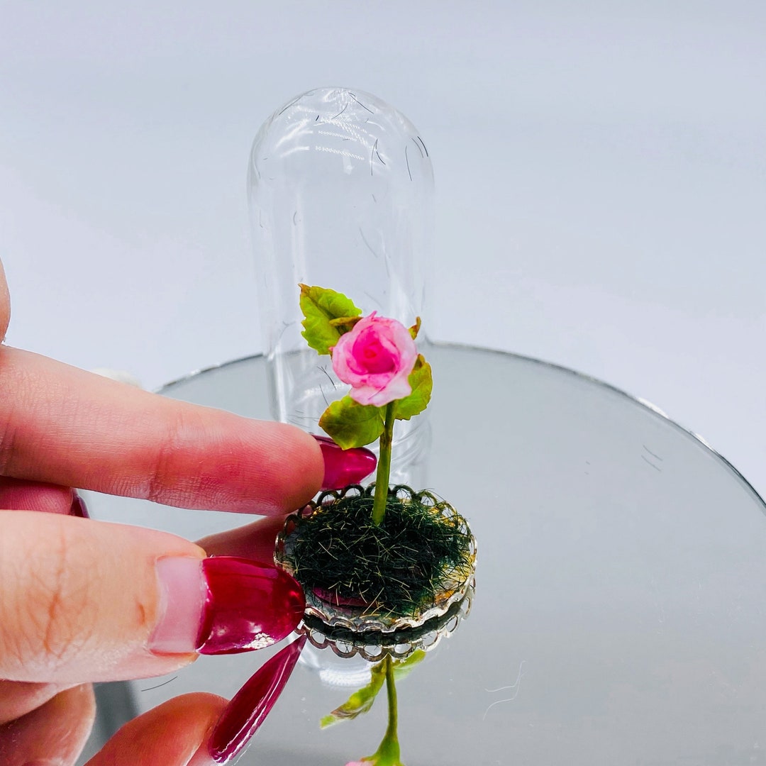 Miniature Rose in Glass Dome Cap,miniature Dollhouse Fairy Garden ...