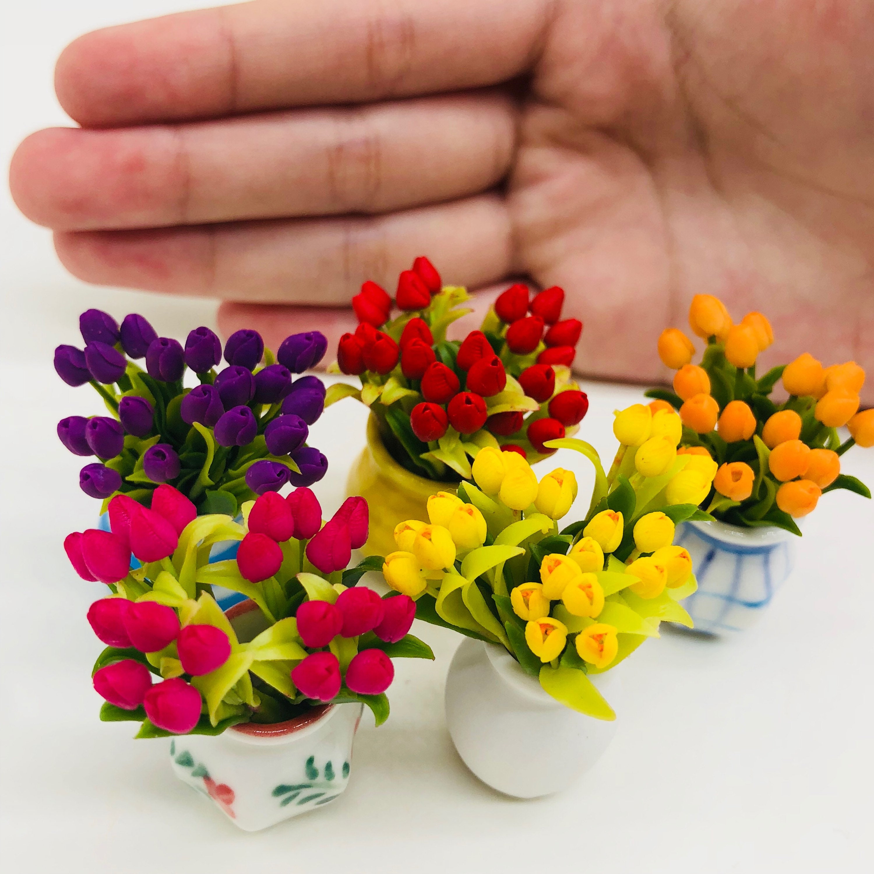 Miniature Tulip Miniature Flower and Miniature Orchids Petit - Etsy