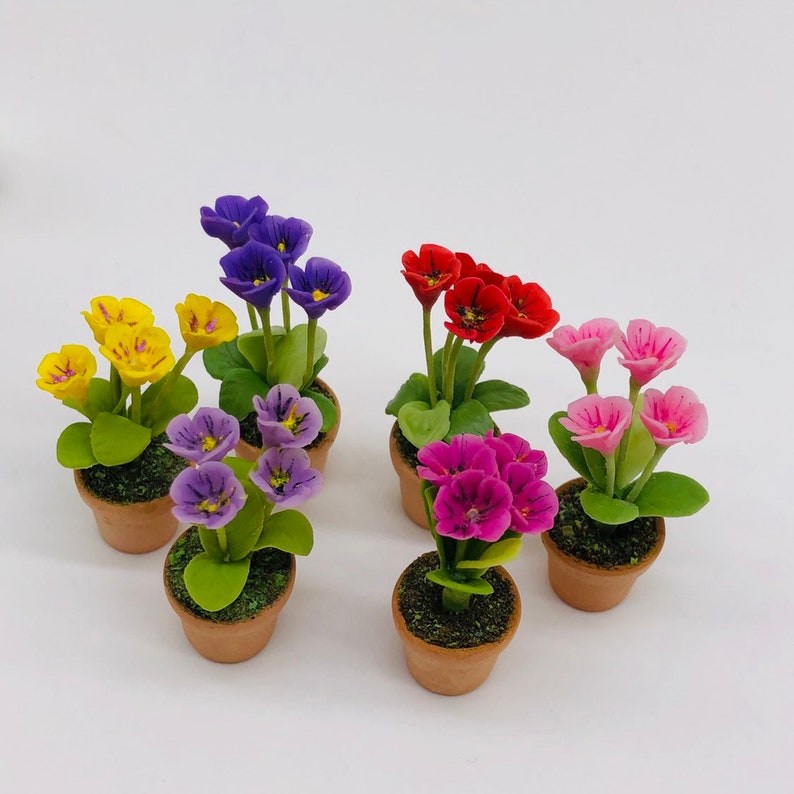 6 pieces Miniature Flower 6 pots decorate for dollhouse fairy | Etsy