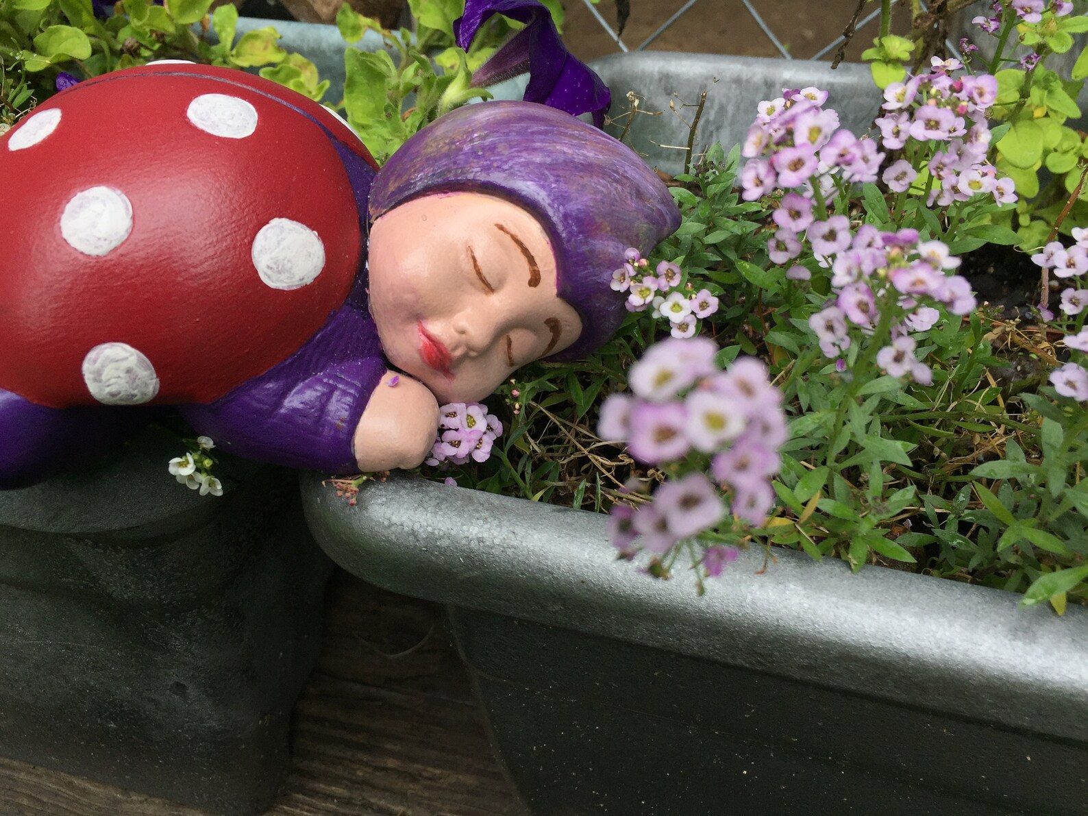 Garden Gnome, Ceramic Statue, Fairy Garden, Hand Painted, Napping ...